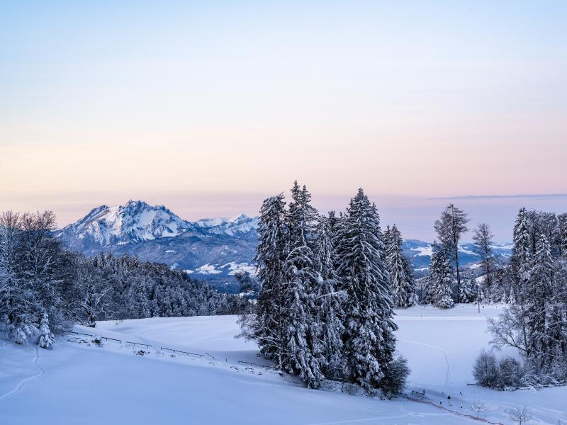 Zugerberg | Zug Tourismus