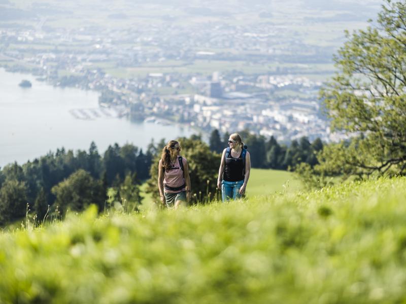 Zugerberg im Sommer | Zug Tourismus