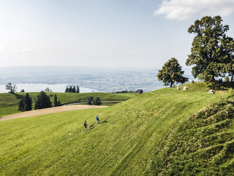 Zugerberg | Zug Tourismus