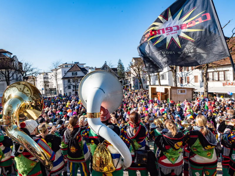 Chamer Fasnachtsumzug | Zug Tourismus