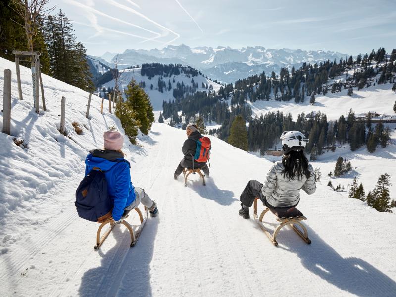 Schlittelvergnügen auf der Rigi | Zug Tourismus