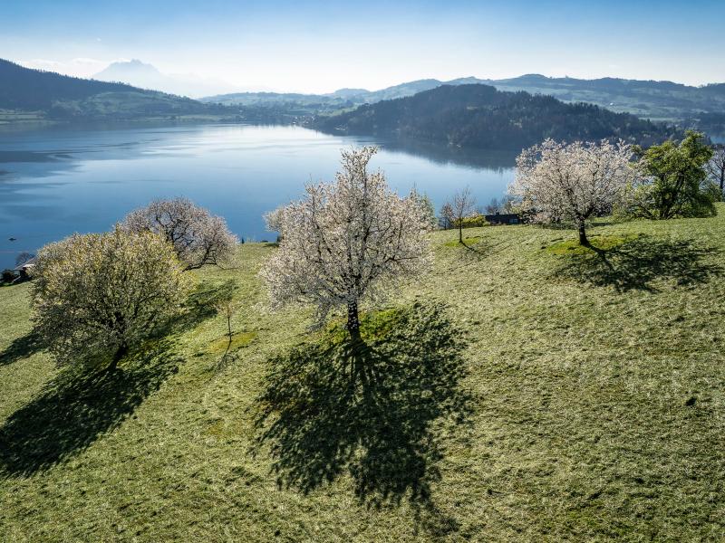 Wanderung Zug - Walchwil | Zug Tourismus